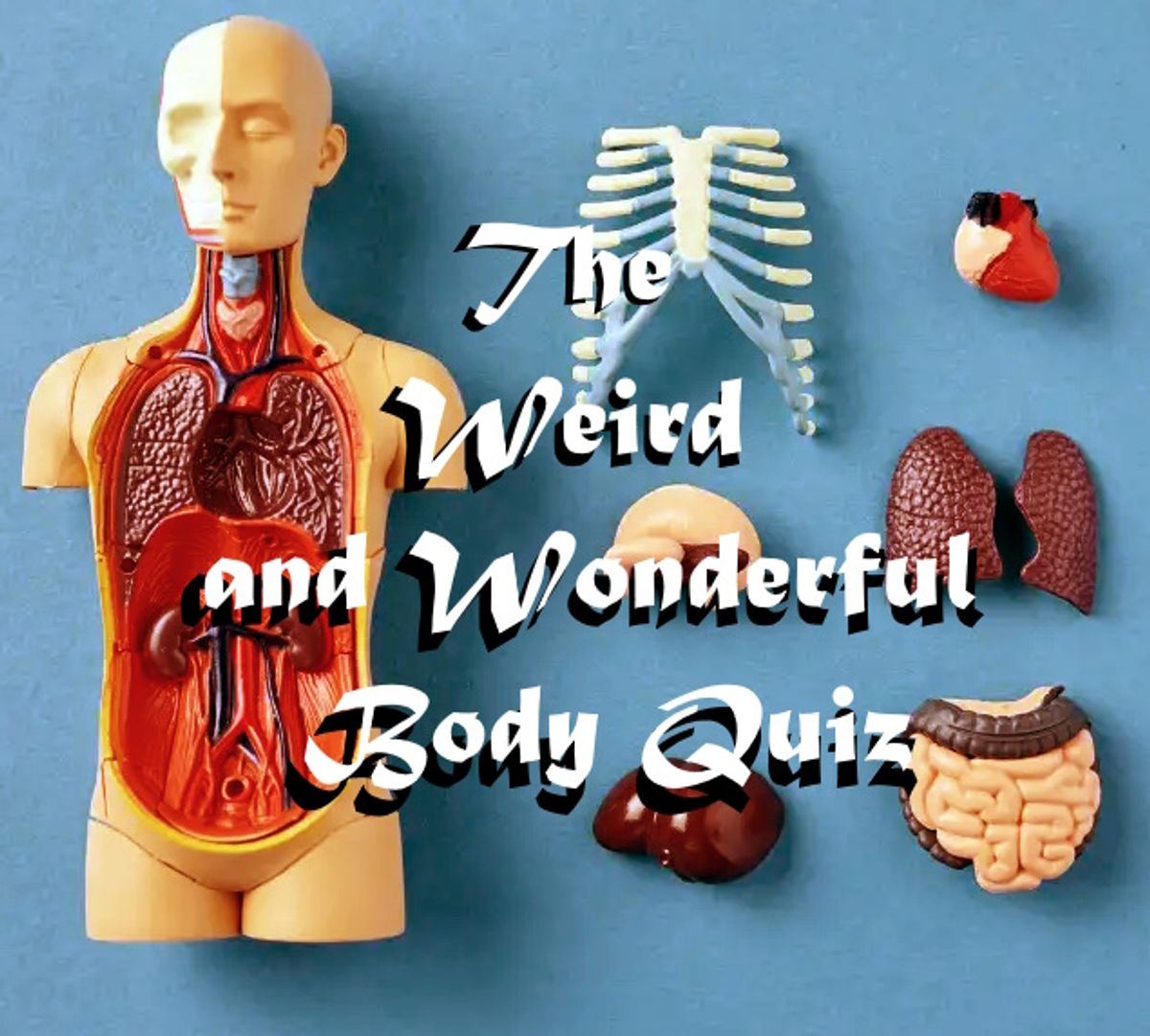 The Weird and Wonderful Body Quiz - Quiz.com